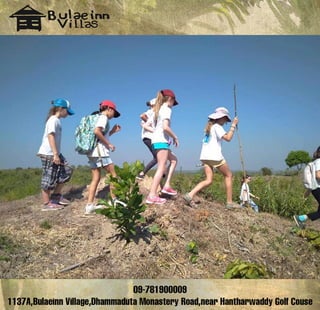 Bulaeinn villas | PPT