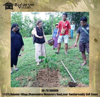 Bulaeinn villas | PPT