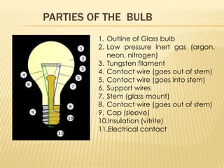 Bulb | PPTX