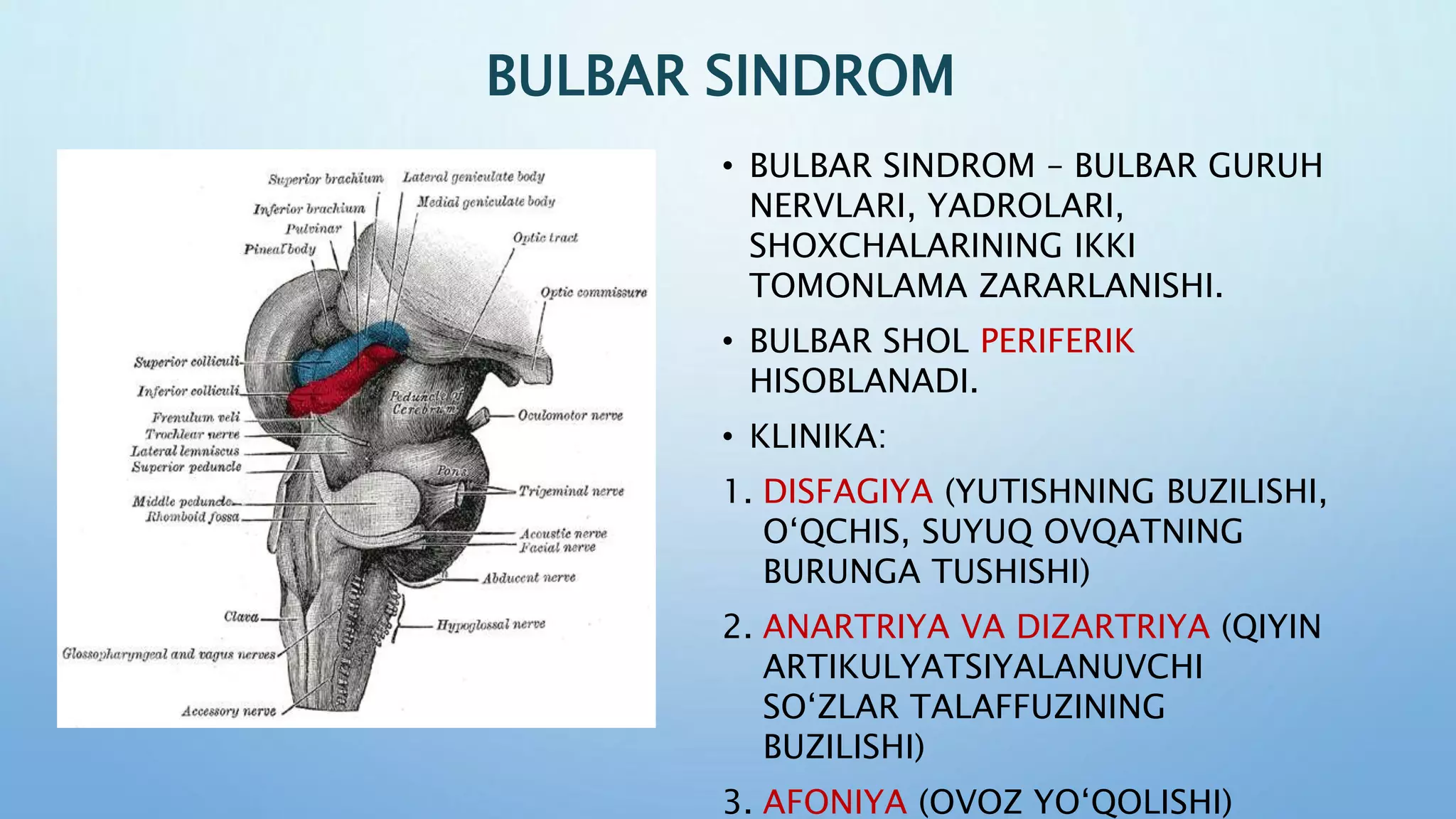 Bulbar sindromlar | PPT