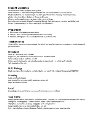 Bulb Biology, The Paperwhite Narcissus Flower Project And Hyacinth ...