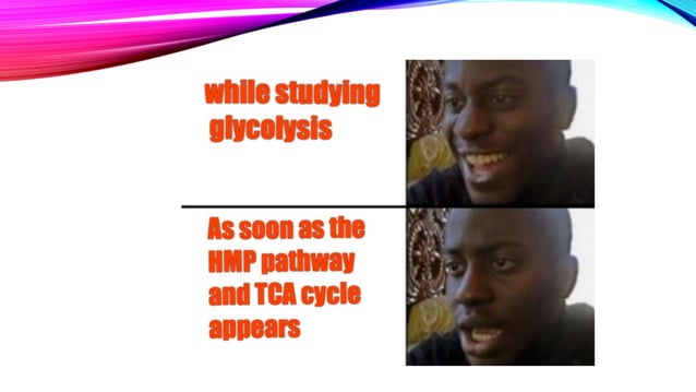 HMP PATHWAY | PPT