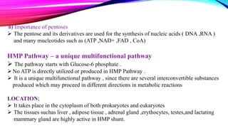 HMP PATHWAY | PPT