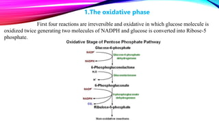 HMP PATHWAY | PPT