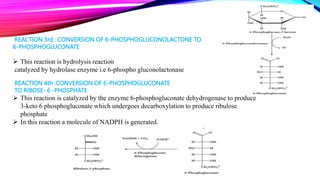 HMP PATHWAY | PPTX
