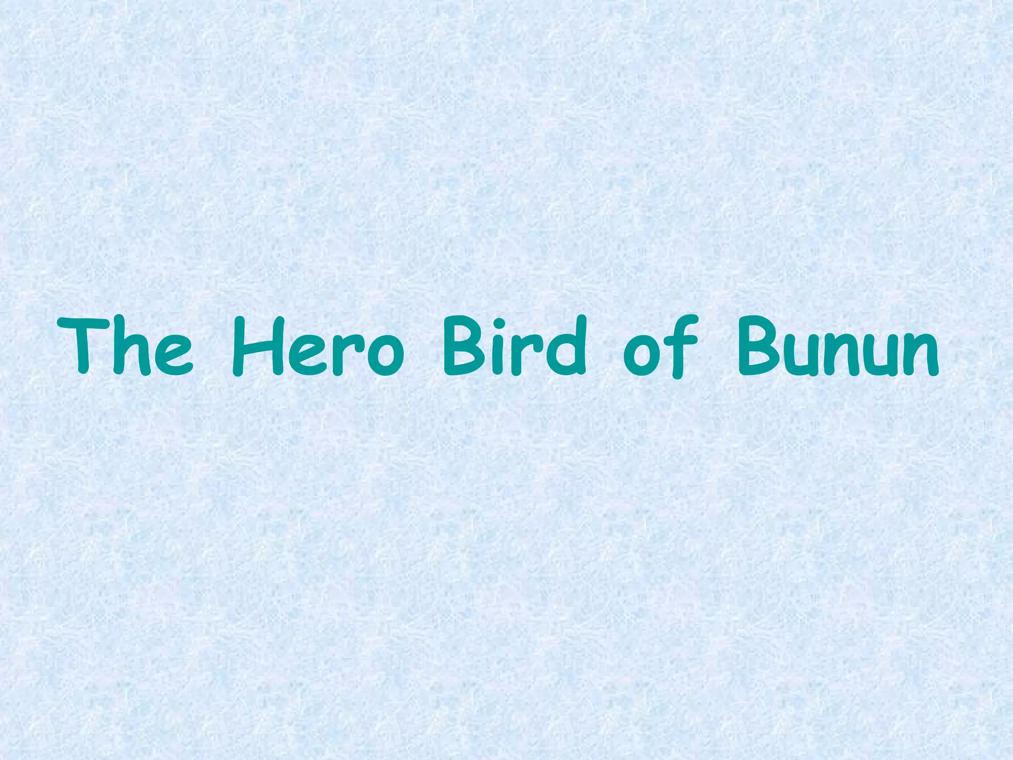 B ul bul bird--aboriginaldemo | PPT