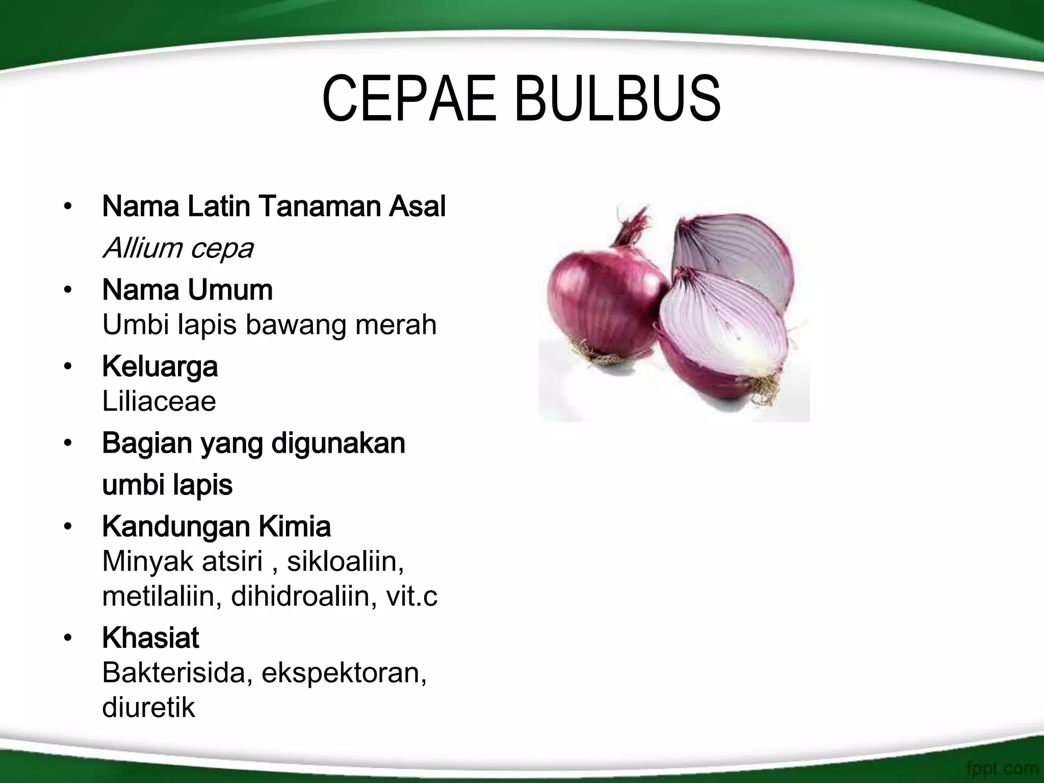 Bulbus, cormus, tuber, caulis, lignum | PPTX