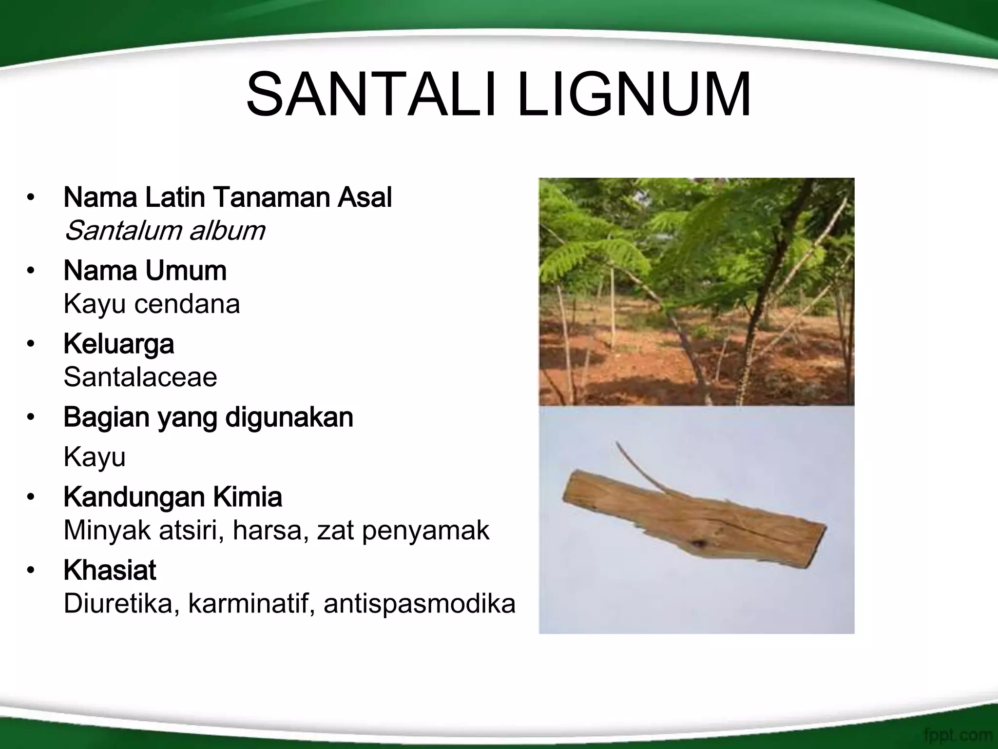 Bulbus, cormus, tuber, caulis, lignum | PPTX