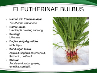Bulbus, cormus, tuber, caulis, lignum | PPTX