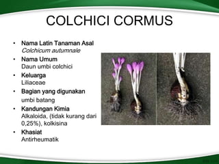 Bulbus, cormus, tuber, caulis, lignum | PPTX