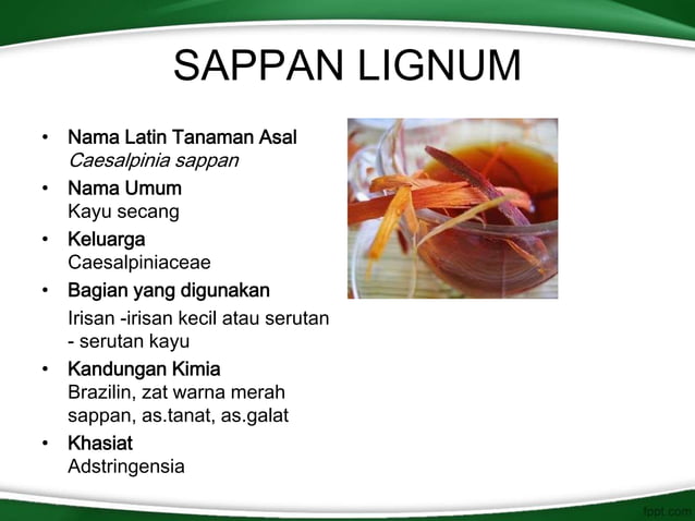 Bulbus, cormus, tuber, caulis, lignum | PPTX