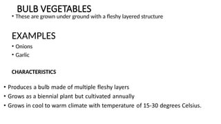 TYPES OF VEGETABLES,BULB VEGETABLES.pptx