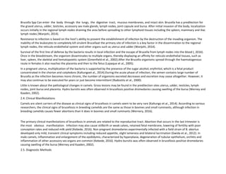 Review on camel Brucellosis and it's zoonotic importance in Ethiopia.docx