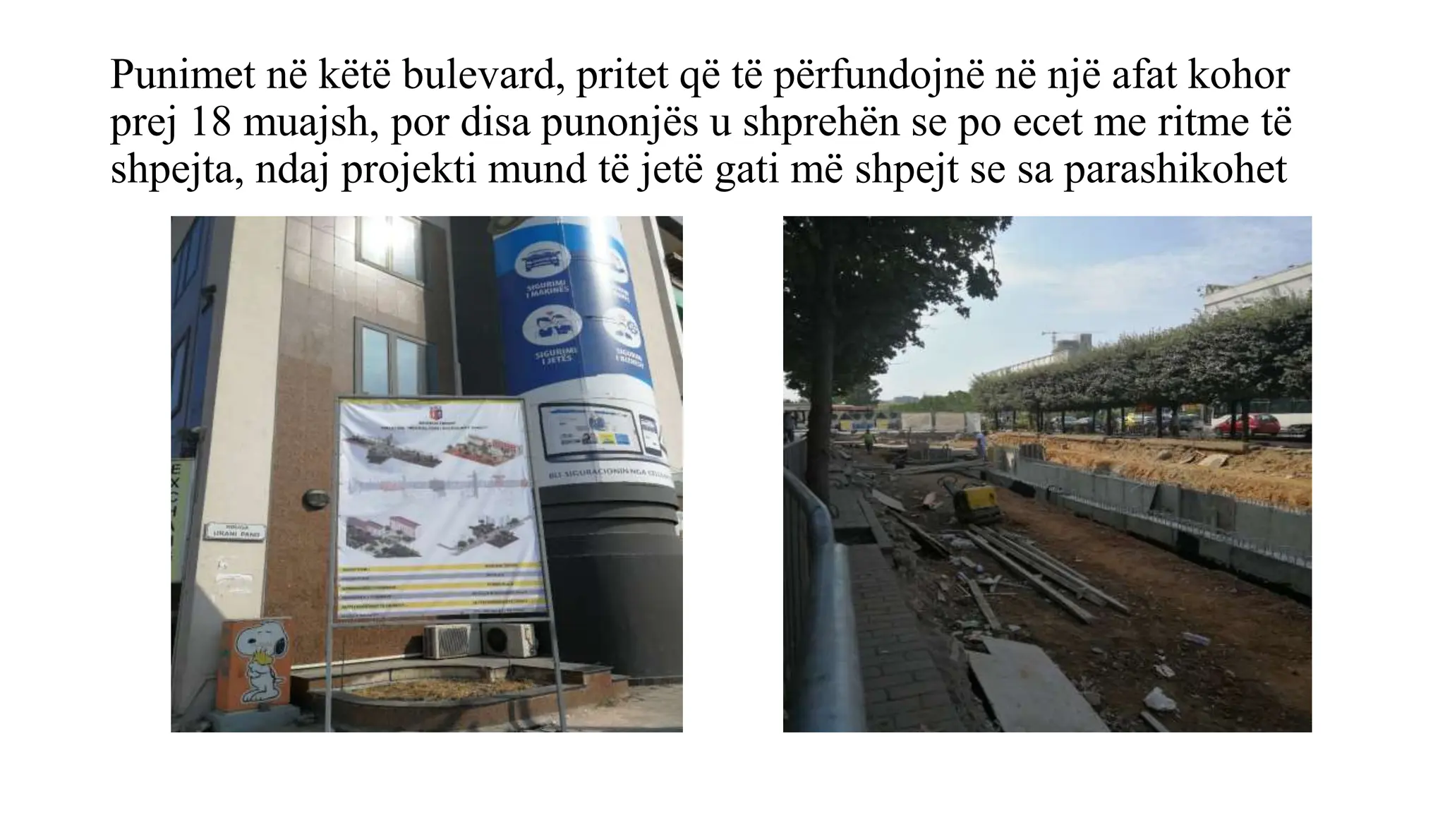 Bulevardi Zogu I powepoint presentation.pptx