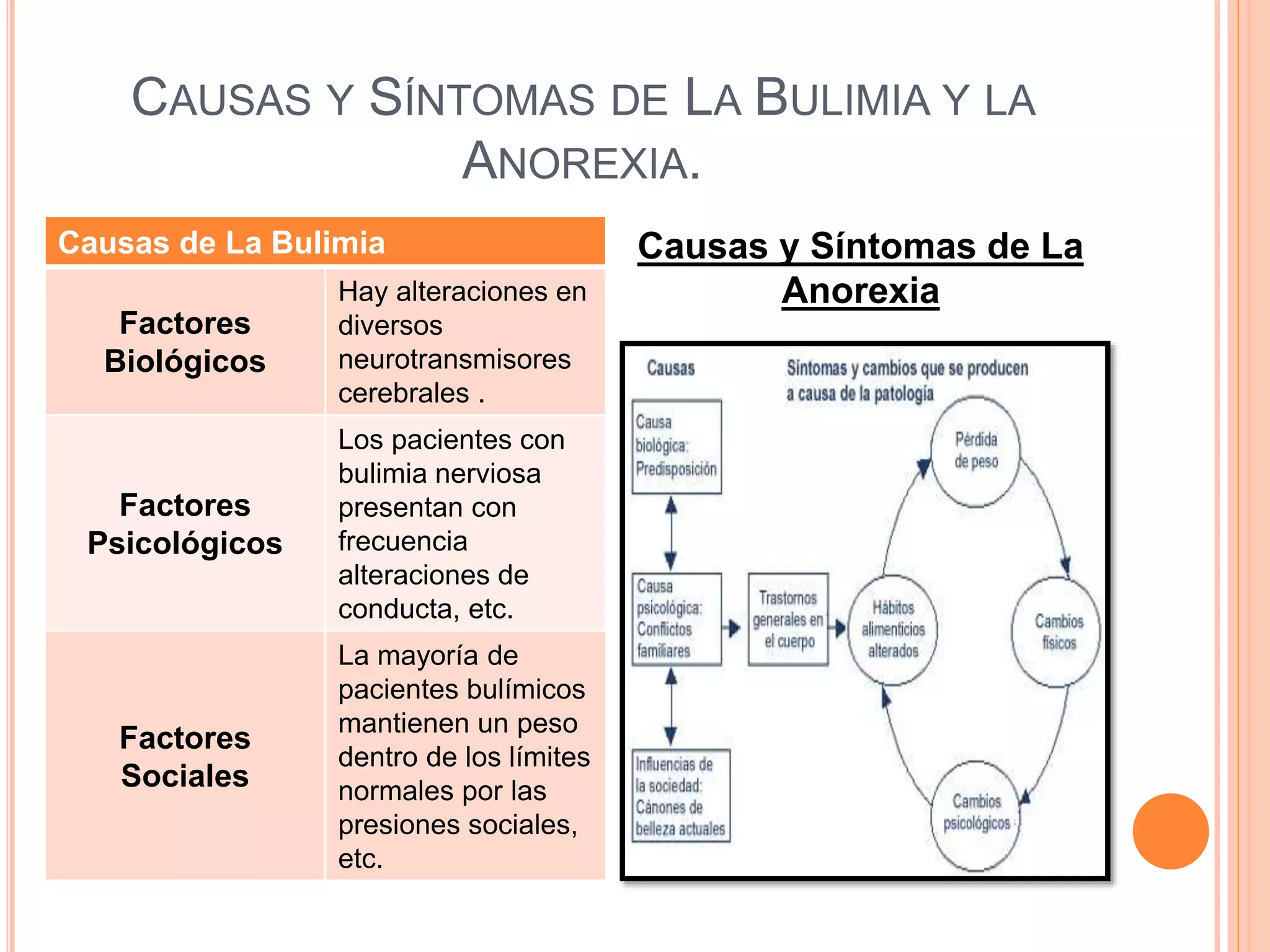 BULIMIA Y ANOREXIA | PPT