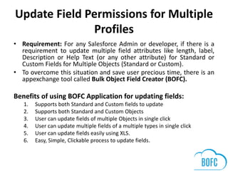 Bulk Field Permissions (FLS) Operations in Salesforce | PPT
