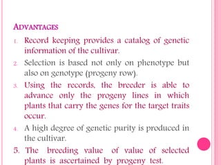 Bulk method pedigree method &line breeding | PPTX