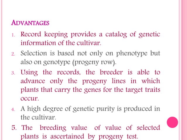 Bulk method pedigree method &line breeding | PPTX