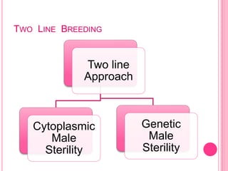 Bulk method pedigree method &line breeding | PPTX