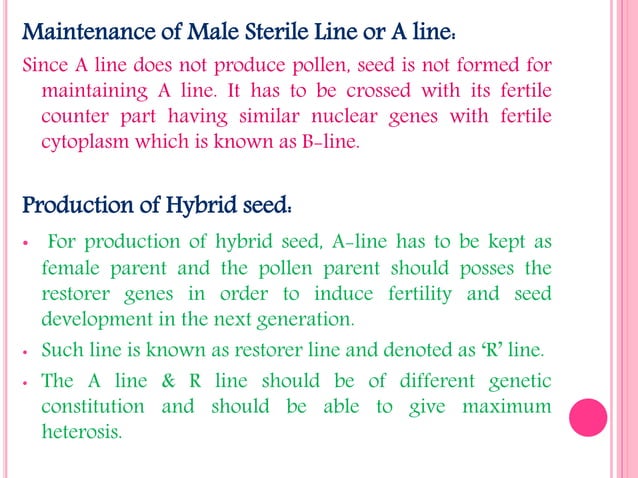 Bulk method pedigree method &line breeding | PPTX