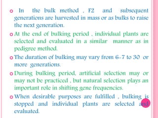 Bulk method pedigree method &line breeding | PPTX