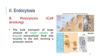 Bulk / Vesicle Transport | PPTX