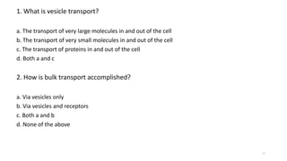 Bulk / Vesicle Transport | PPTX