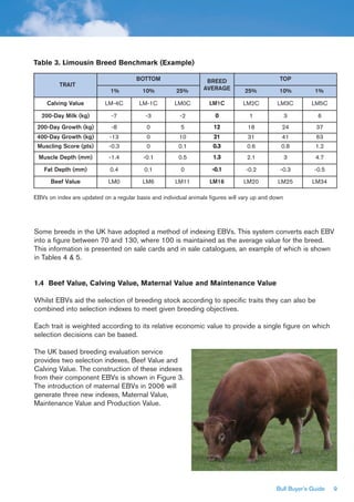 Bull buyers guide (uk) | PDF