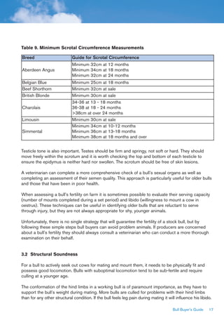 Bull buyers guide (uk) | PDF