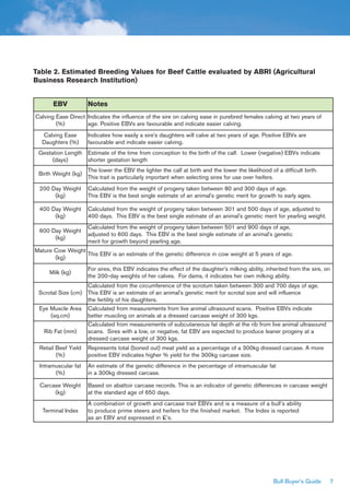 Bull buyers guide (uk) | PDF