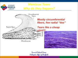 The Knee: Common Problems and Current Treatment | PPT