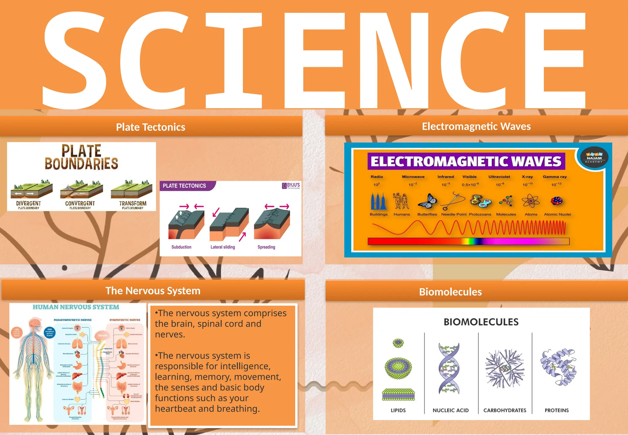 BULLETIN BOARD DISPLAY BULLETIN BOARD.pptx