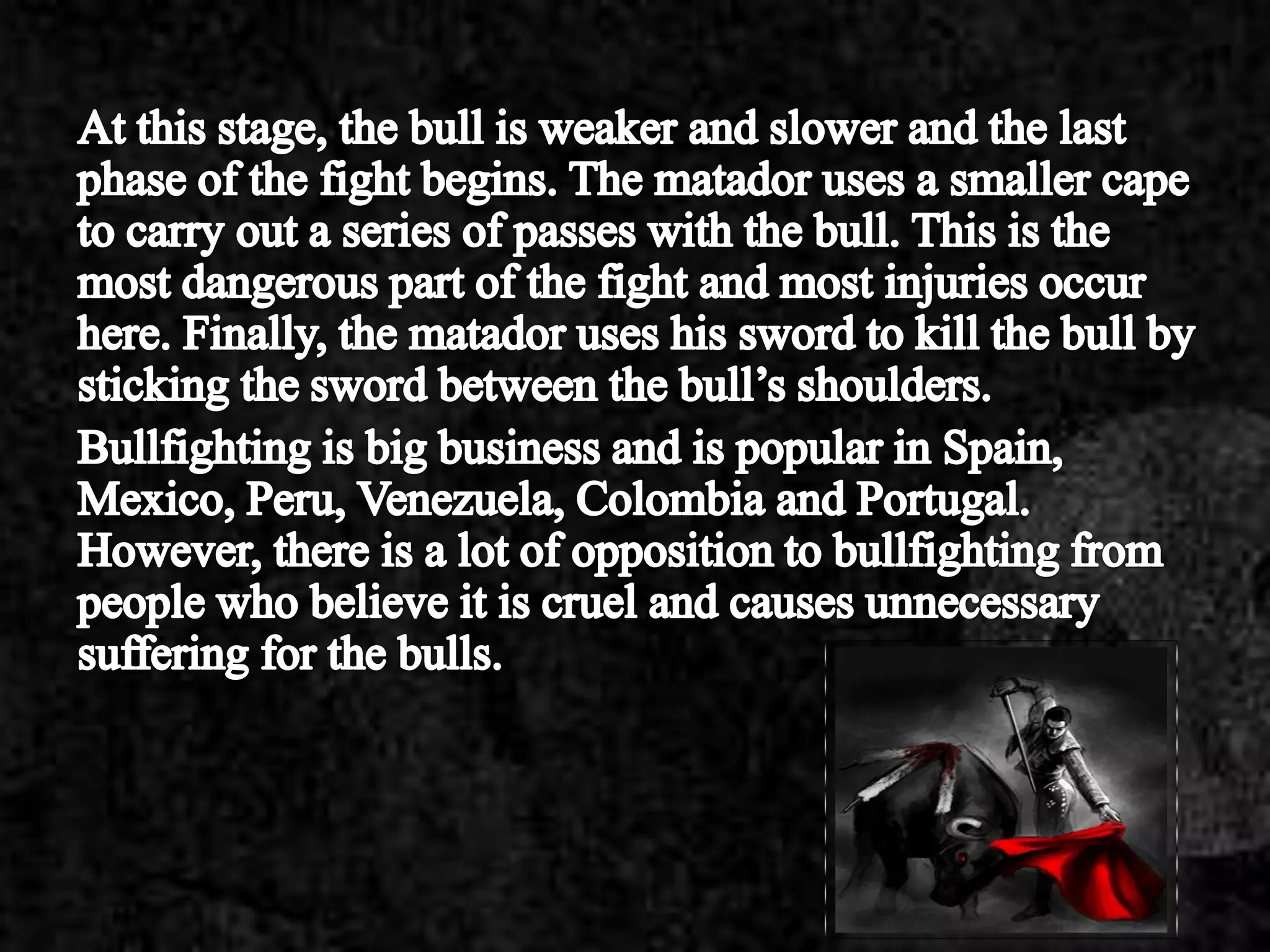 Bullfighting | PPT