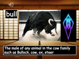 Bullfighting | PPT