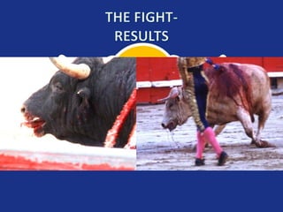 Bullfighting presentation | PPTX