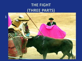 Bullfighting presentation | PPTX