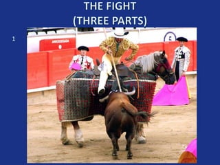 Bullfighting presentation | PPTX