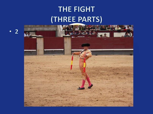 Bullfighting presentation | PPTX