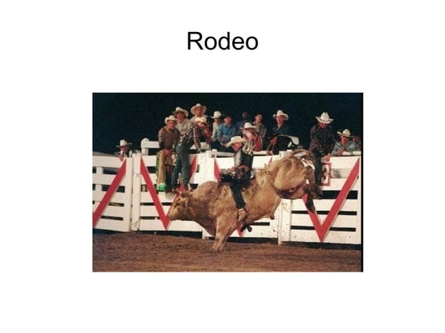 Bullfightingpresentationss | PPT