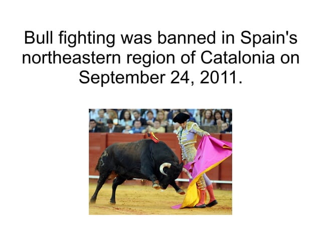 Bullfightingpresentationss | PPT