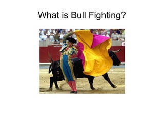 Bullfightingpresentationss | PPT