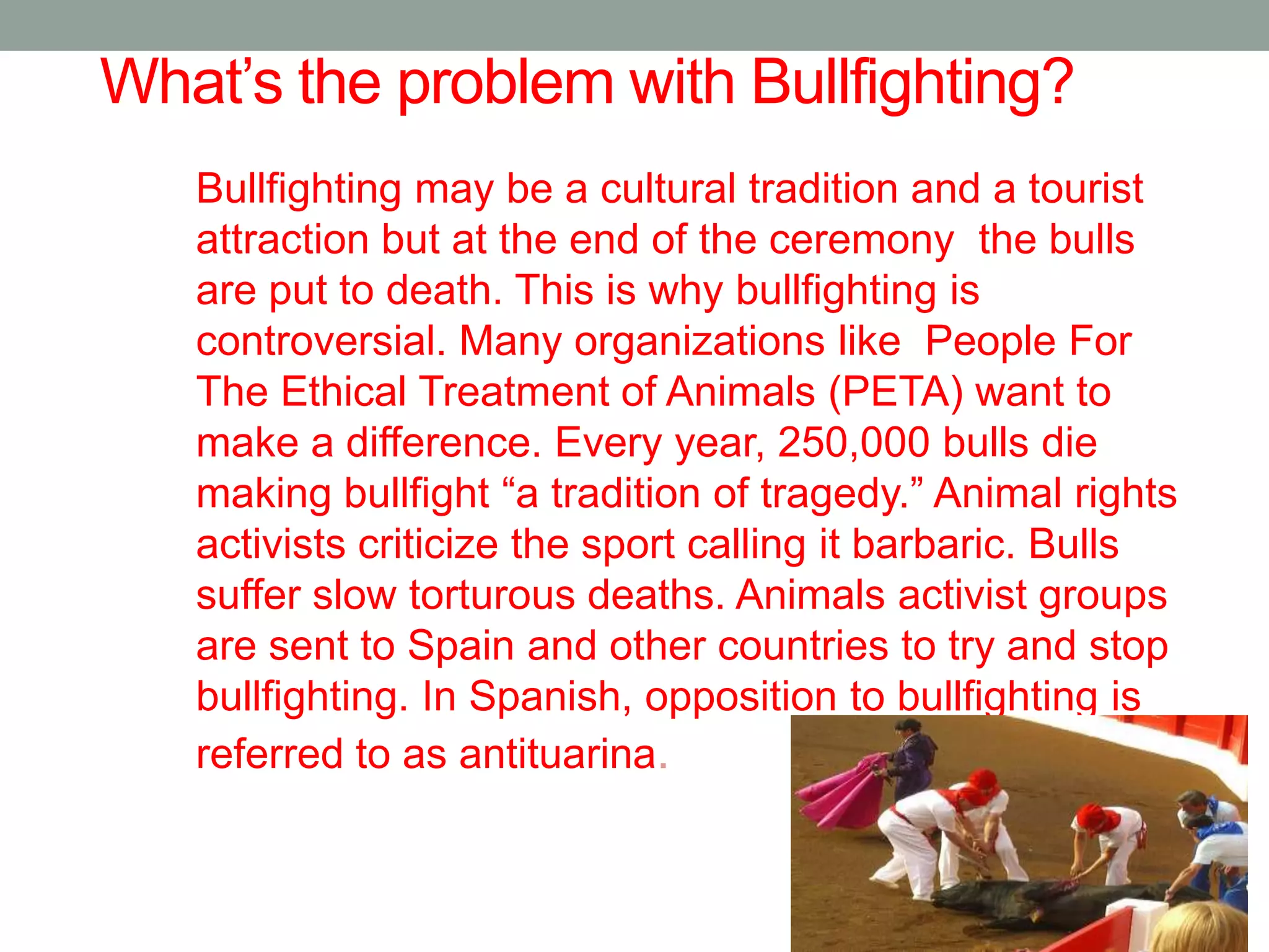 Bullfighting- Sport Or Cruelty to Animals | PPTX