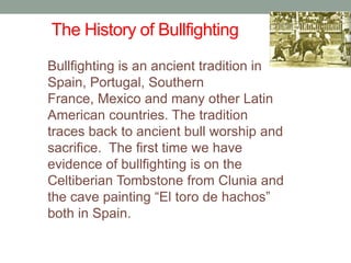 Bullfighting- Sport Or Cruelty to Animals | PPTX