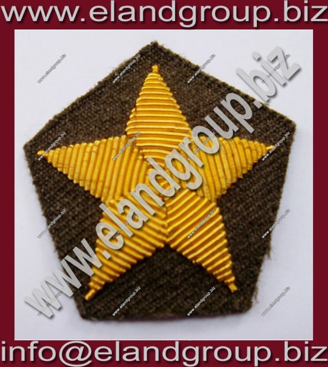 Bullion rank for general officers | PDF