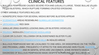 Bullous dermatoses and erythema multiformis | PPT