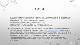 Bullous dermatoses and erythema multiformis | PPT