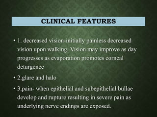 Bullous keratopathy | PPTX