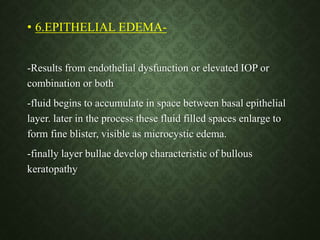 Bullous keratopathy | PPTX