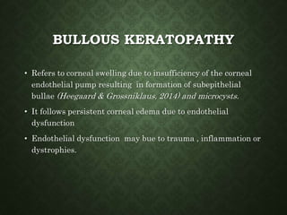 Bullous keratopathy | PPT