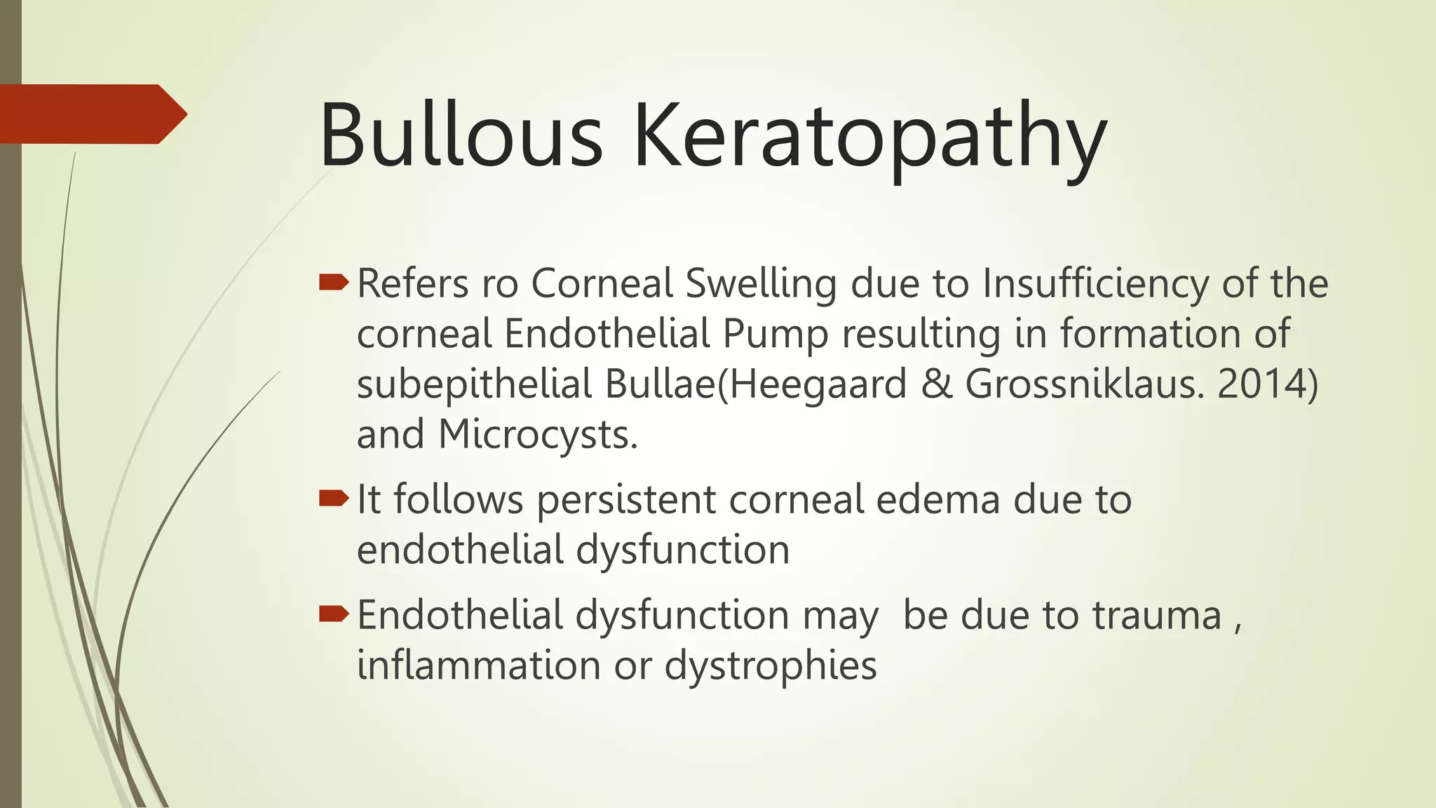 Bullous Keratopathy 1.pptx